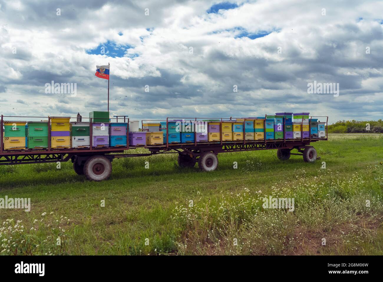 Beehives on truck hi-res stock photography and images - Alamy