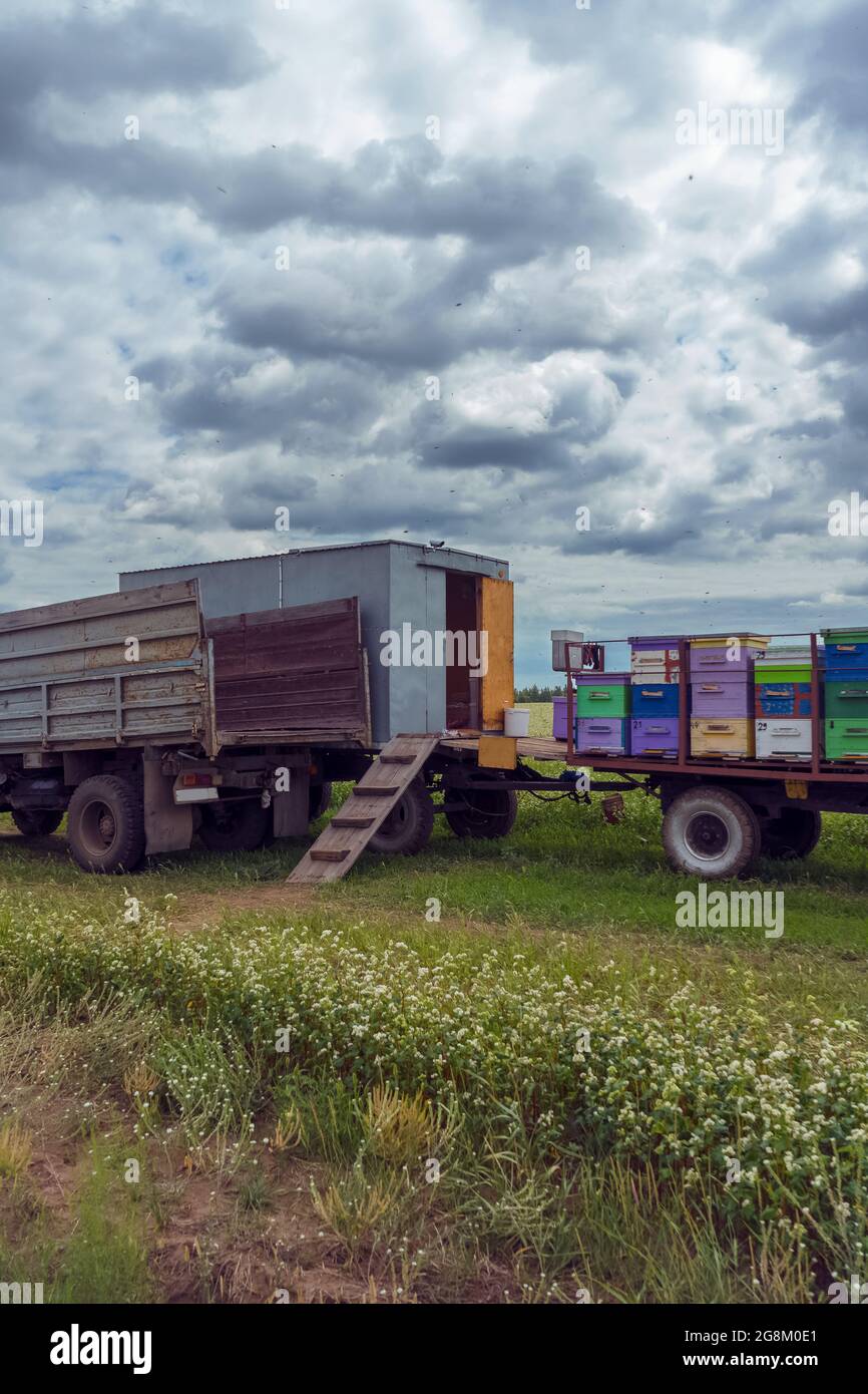 view of long trailer with colorful bee hives for mobile collection and ...