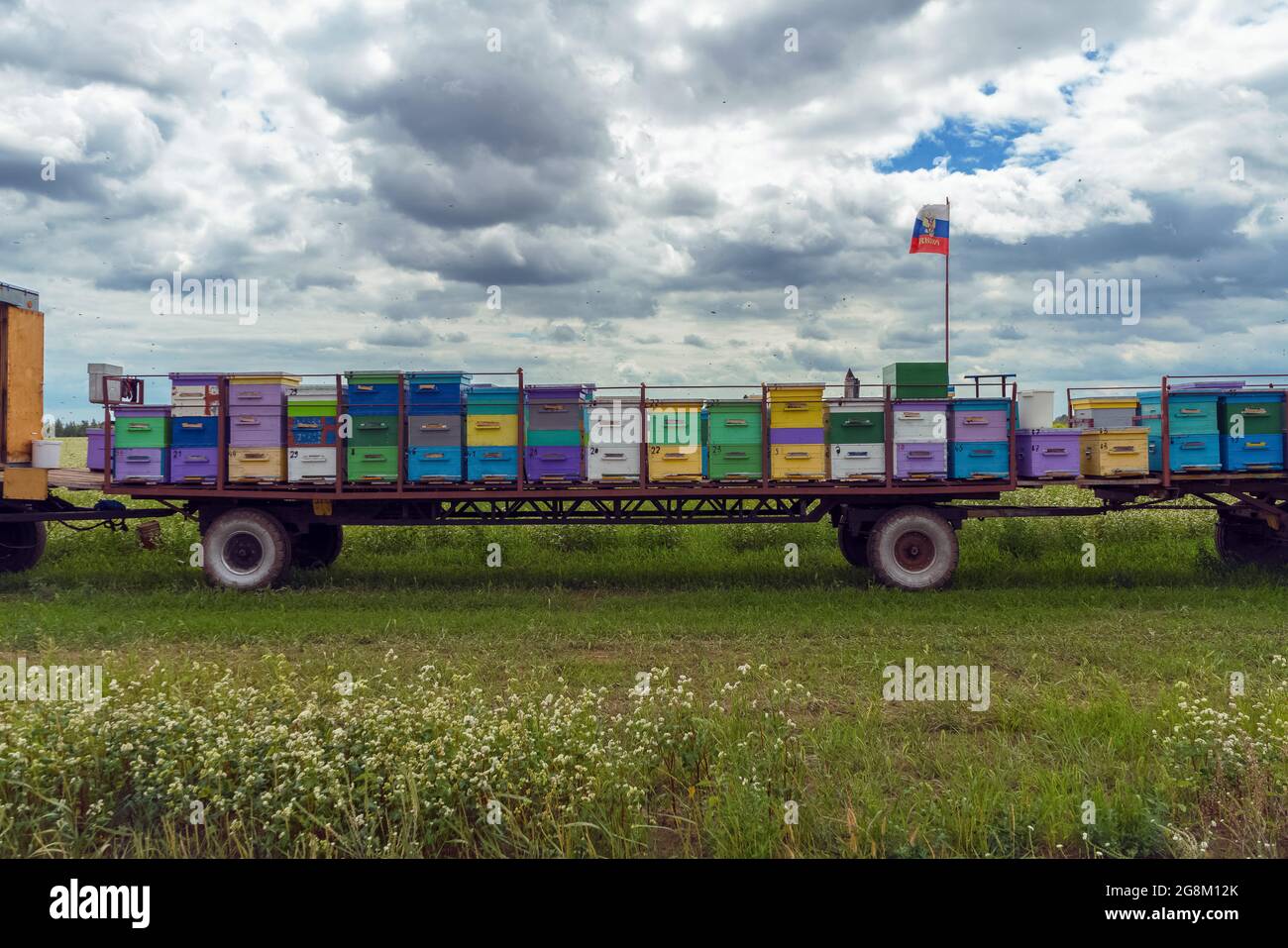 view of bunch of colorful bee hives on trailer for mobile collecting ...