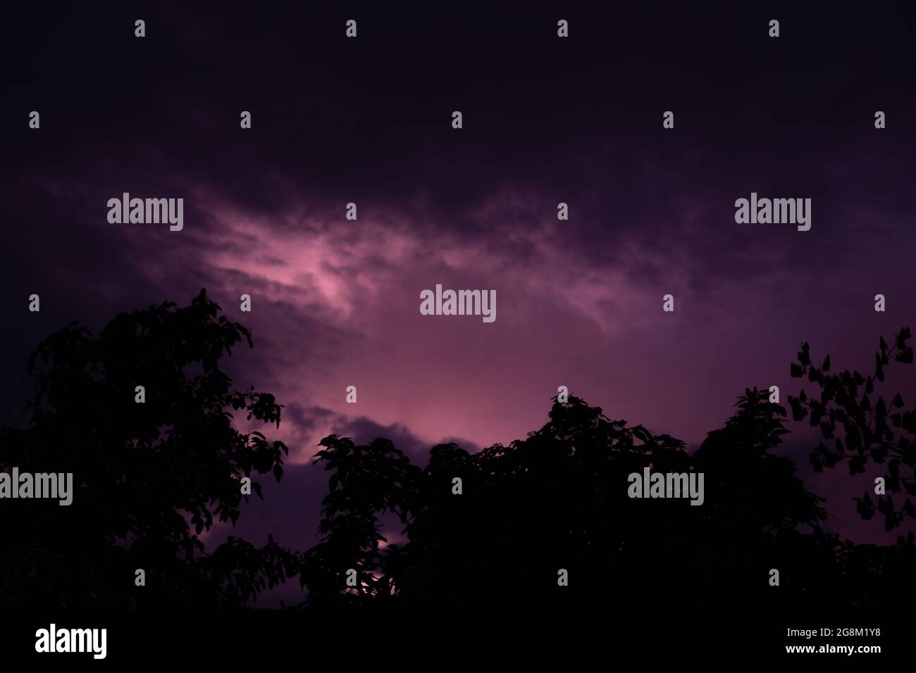 Eerie scenery of lightning in a dark sky over the forest Stock Photo ...