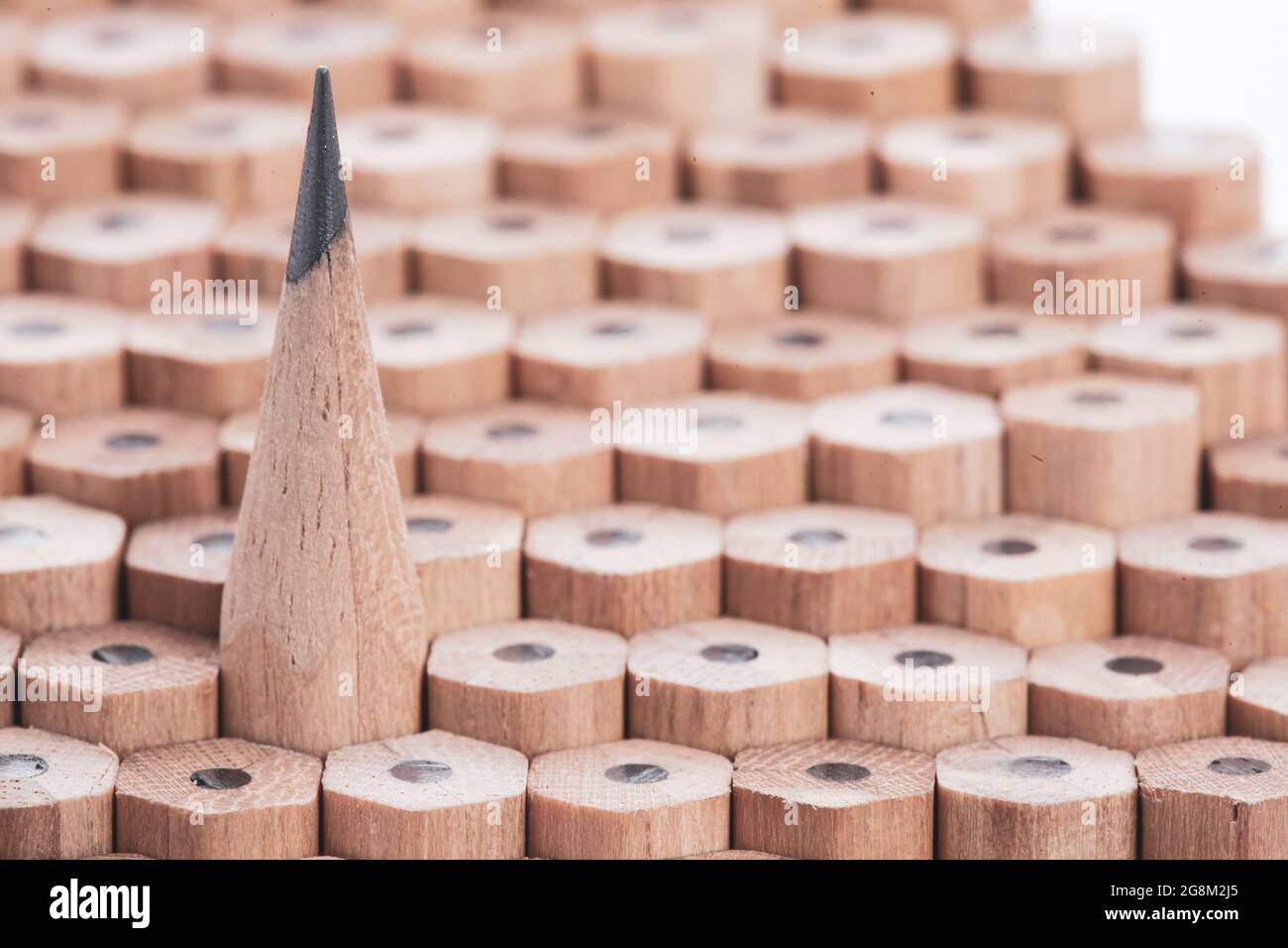 Group of sharpen and unsharp pencils, concept for comparing in team ...