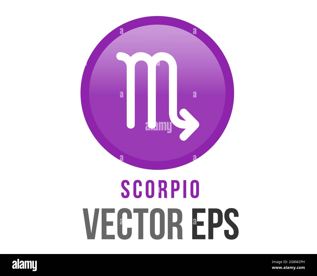 The isolated vector gradient purple Scorpio astrological sign icon in ...