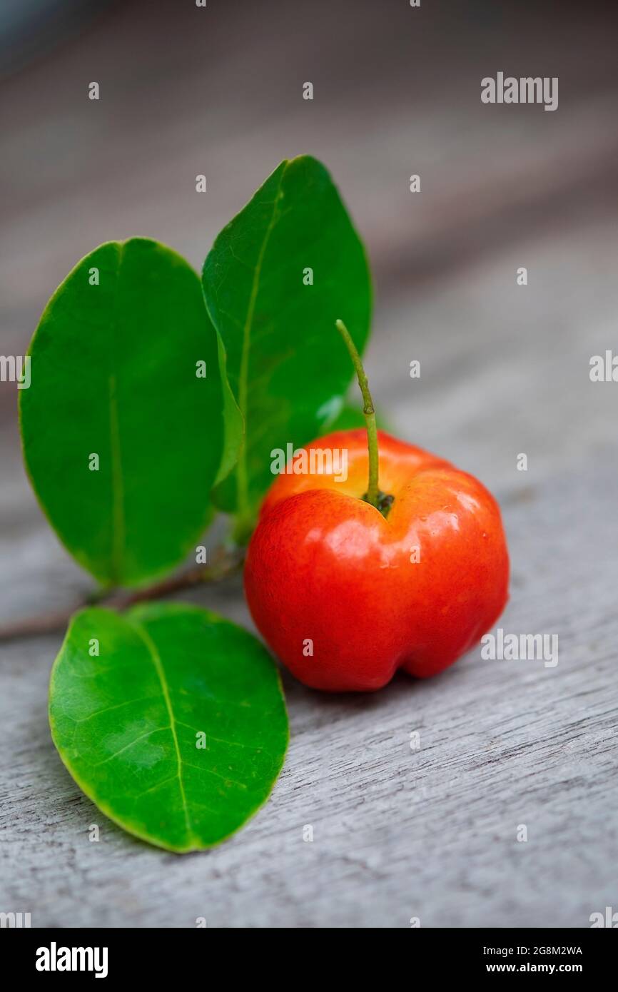 Acerola cherry fruit close up on white background Stock Photo - Alamy