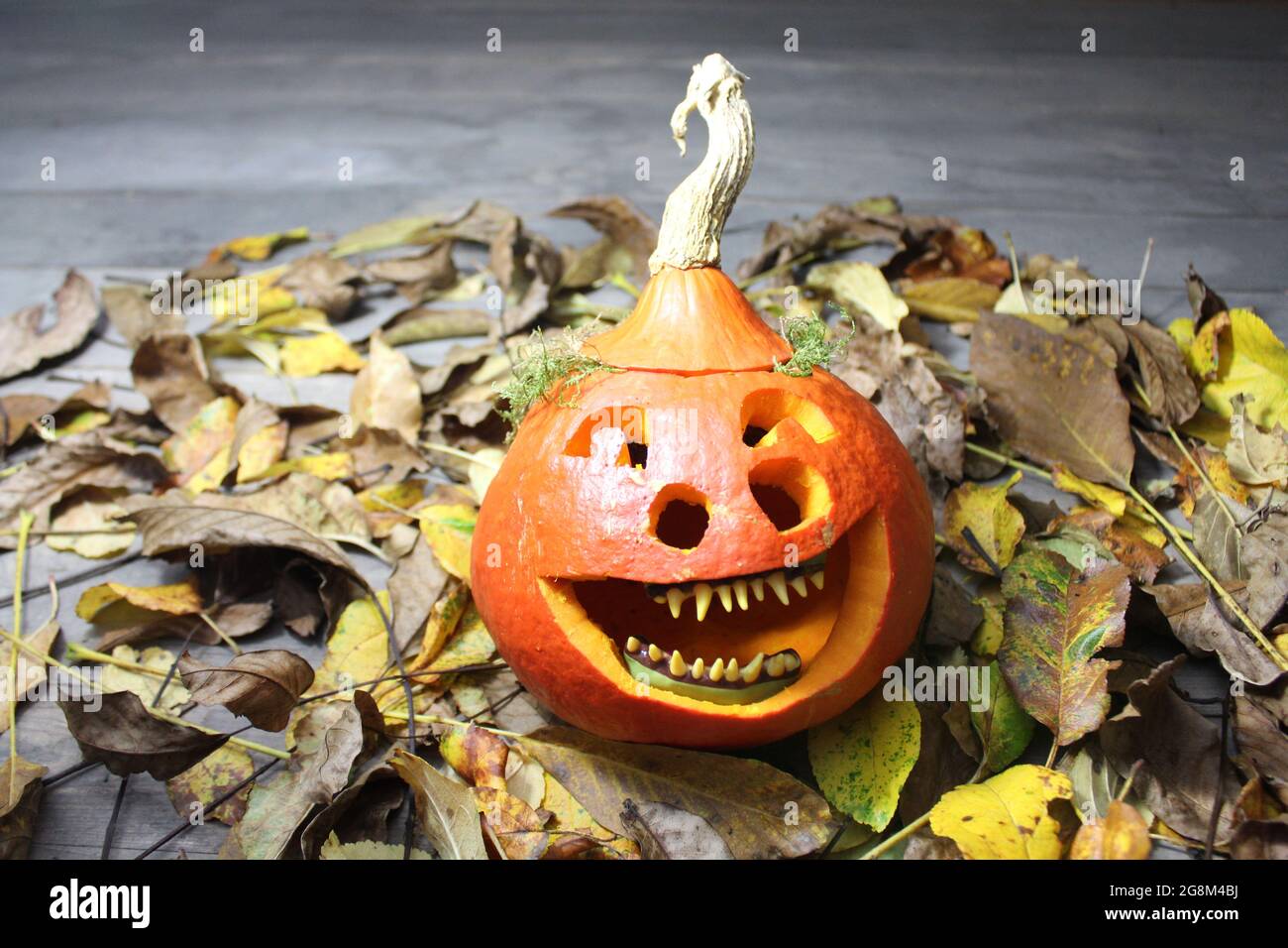Laughing face of vegetables hi-res stock photography and images - Alamy