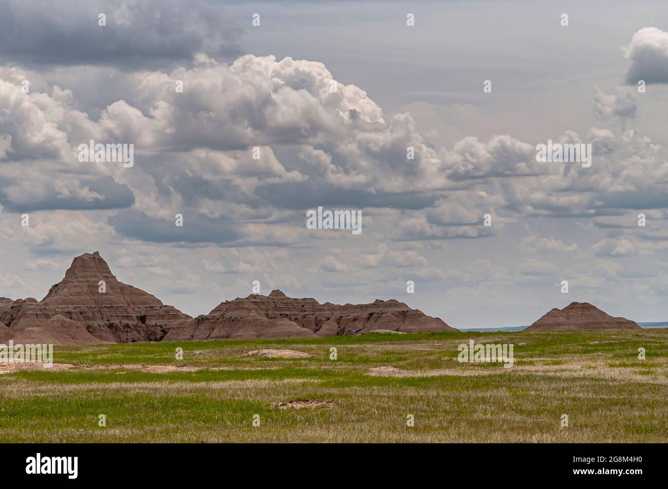 Badlands National Park, SD, USA - June 1, 2008: Green and some dried ...