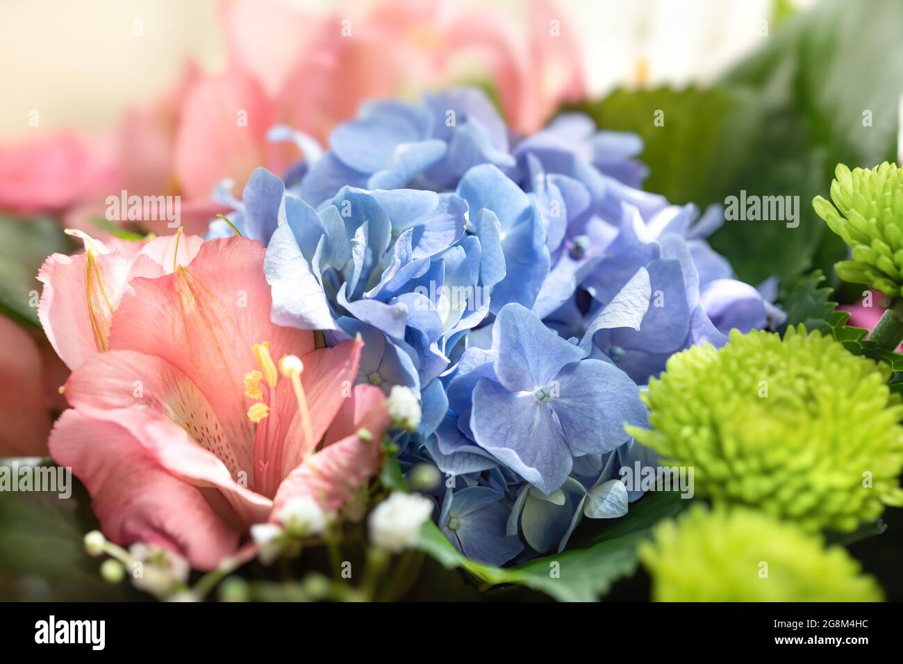 Festive bouquet of assorted flowers including blue hydrangea and pink ...