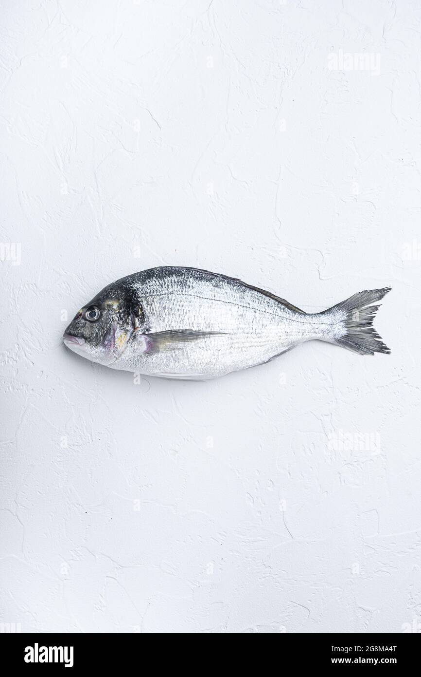 Raw sea bream or Gilt head bream dorada fish on white background, top ...