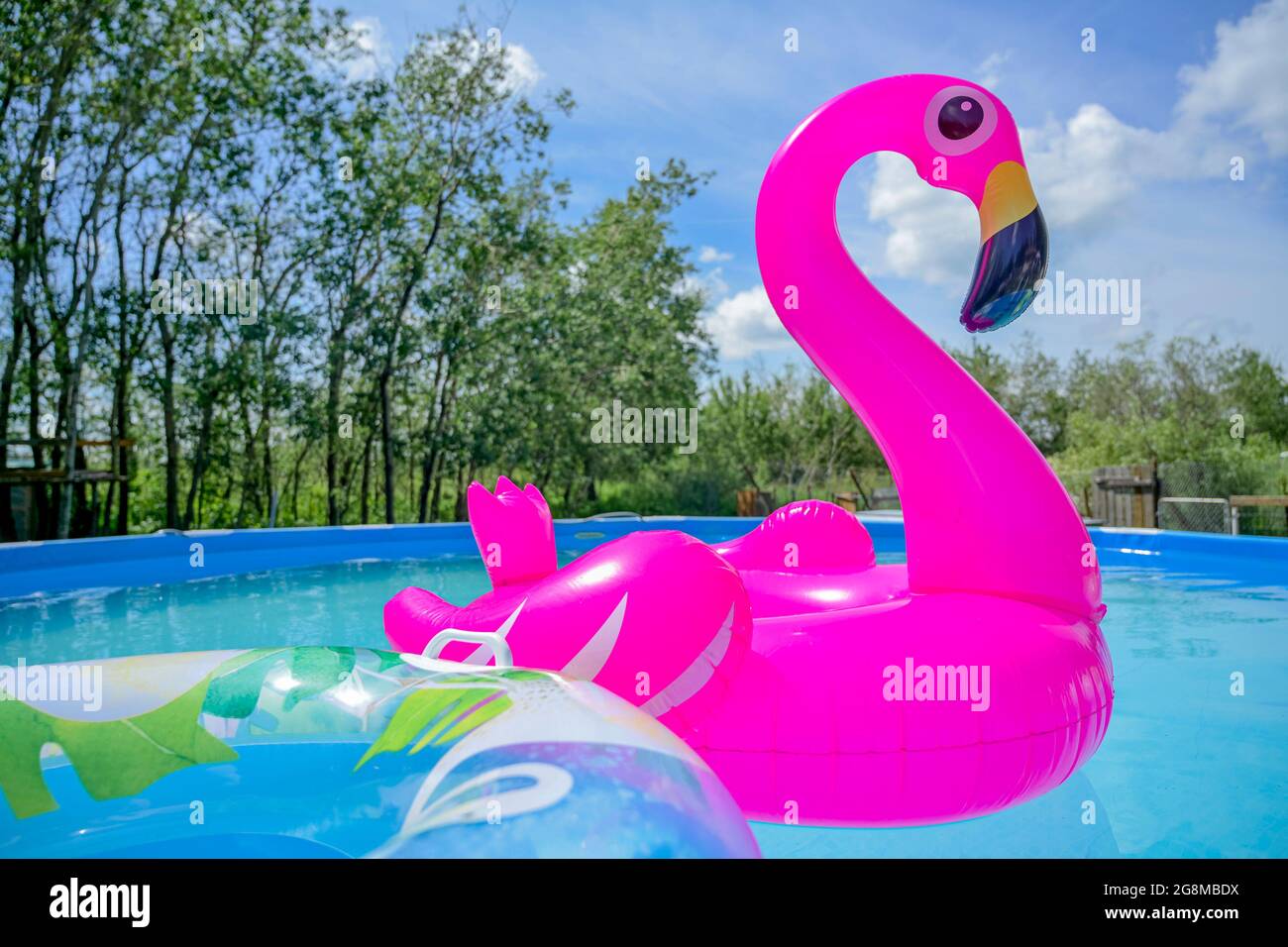 Inflatable Flamingo toy, swimming pool Stock Photo - Alamy