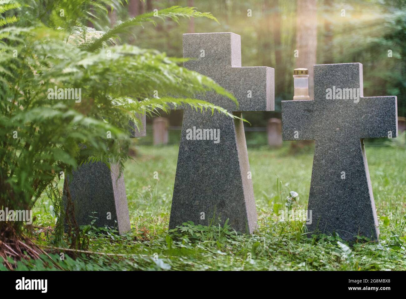 Three stone crosses in a cemetery in the forest Stock Photo - Alamy