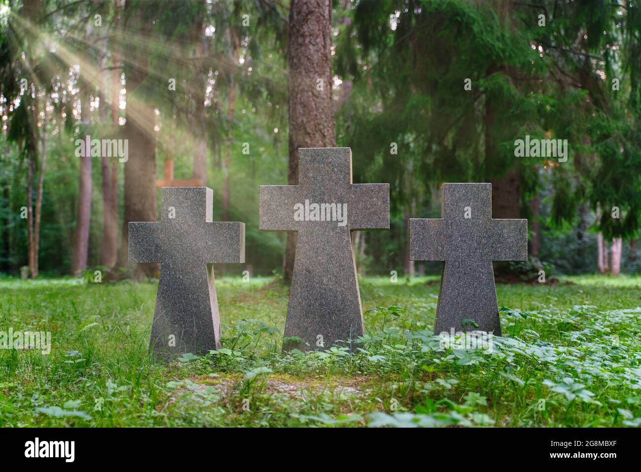 Three stone crosses in a cemetery in the forest Stock Photo - Alamy