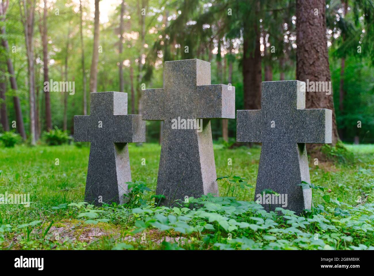 Three stone crosses in a cemetery in the forest Stock Photo - Alamy