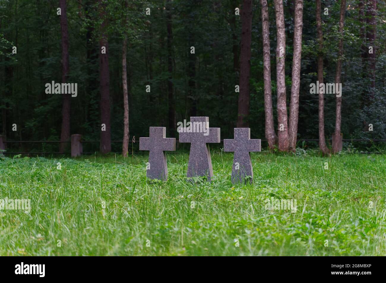 Three stone crosses in a cemetery in the forest Stock Photo - Alamy