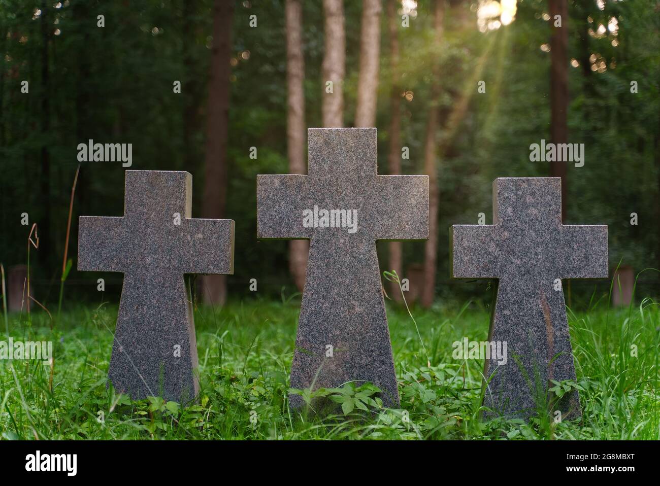 Three stone crosses in a cemetery in the forest Stock Photo - Alamy