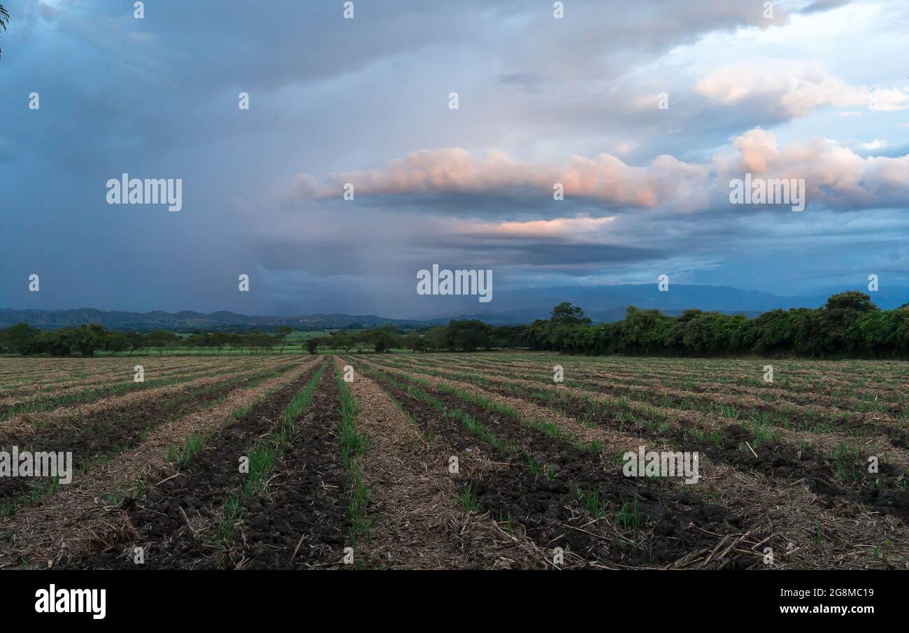 Beautiful Colombian Landscape and rural scene Stock Photo - Alamy