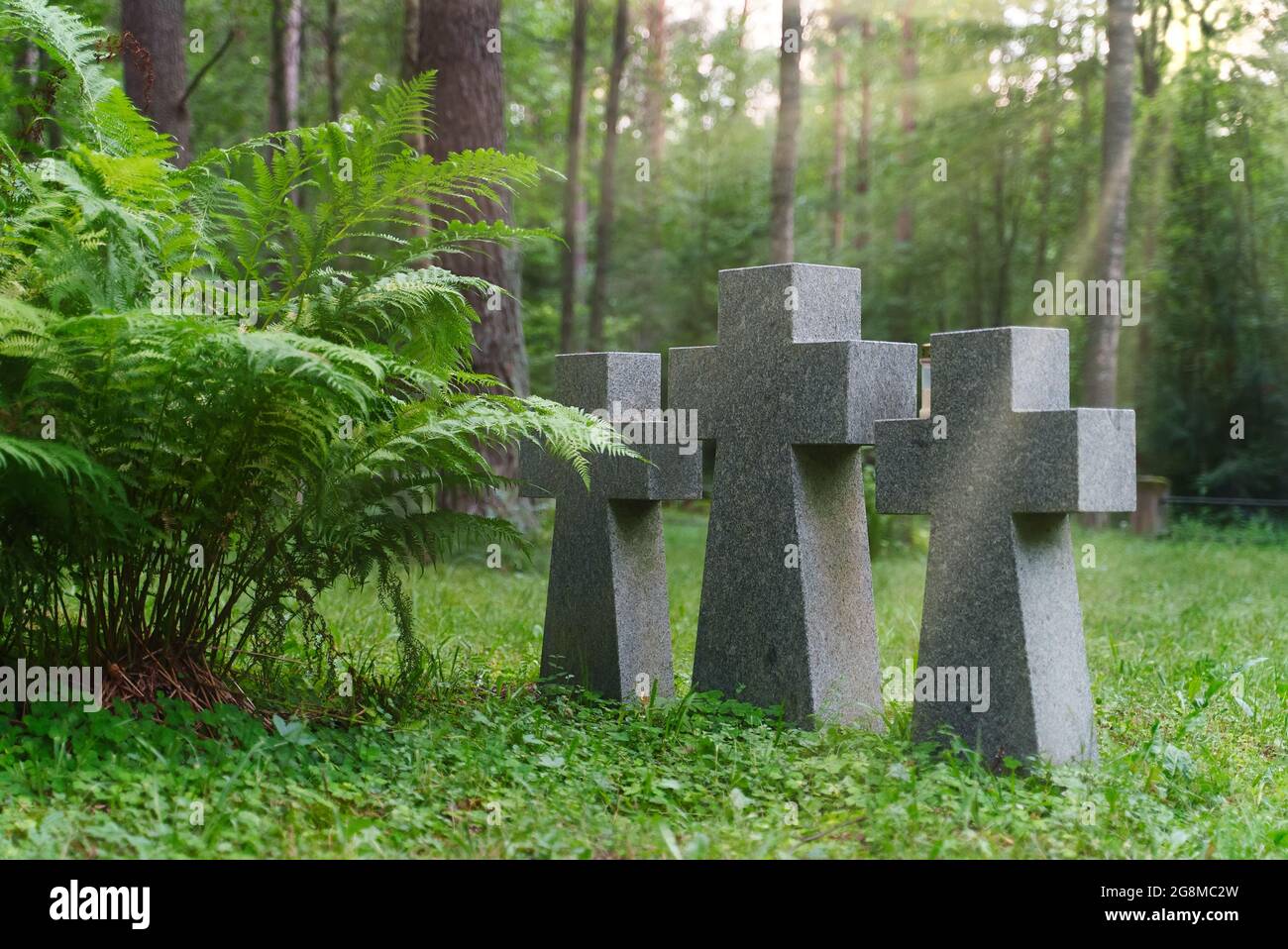 Three stone crosses in a cemetery in the forest Stock Photo - Alamy