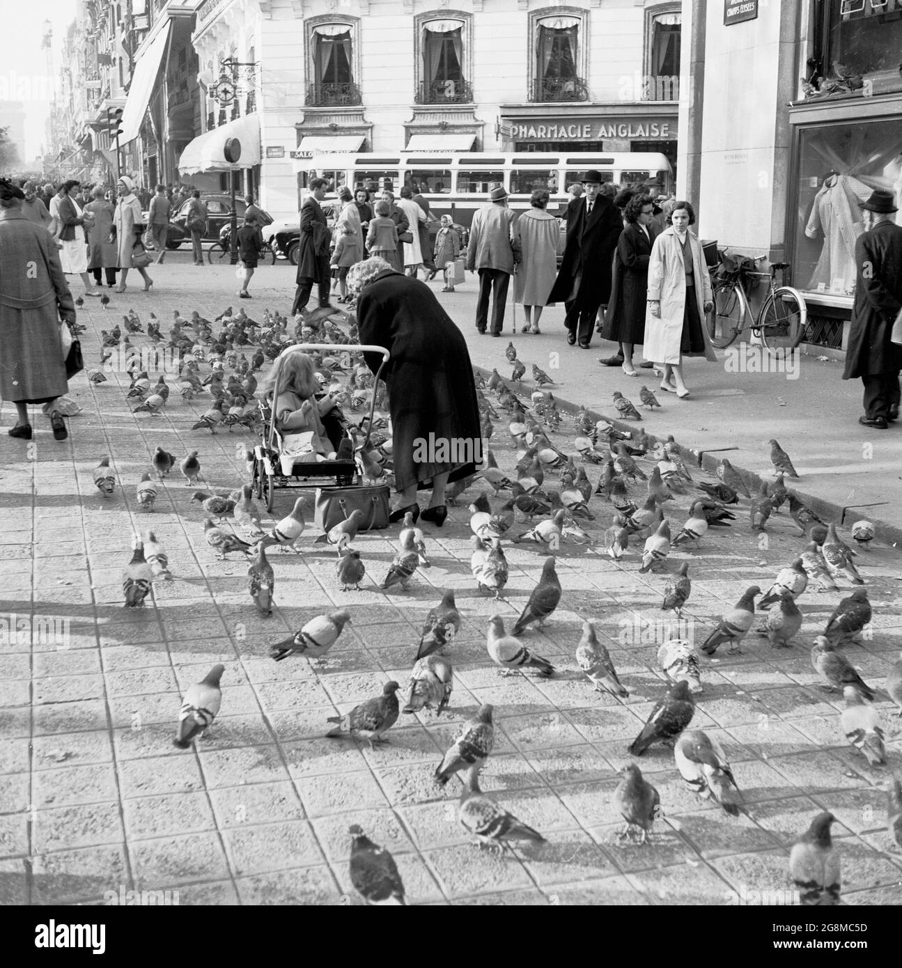 Child pigeons Black and White Stock Photos & Images - Alamy