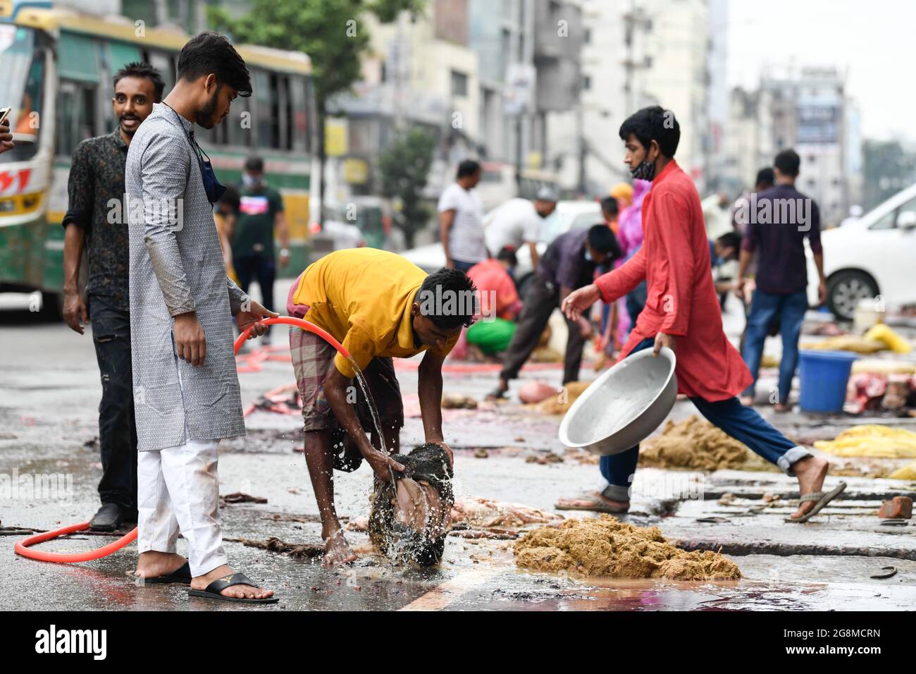 Muslims are seen cleaning the meat after slaughtering a sacrificial ...