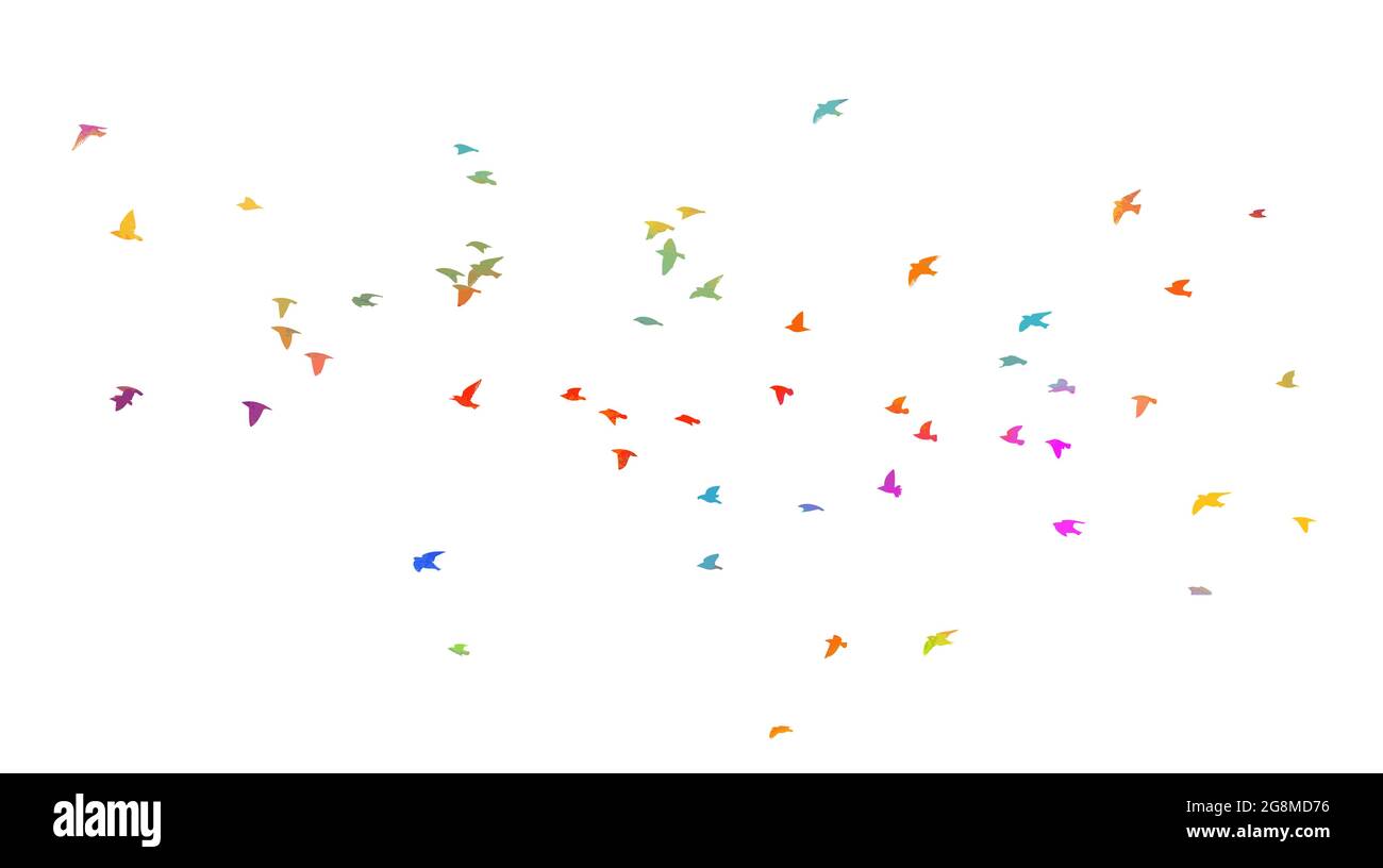 A flock of colorful birds. Vector illustration Stock Vector Image & Art ...