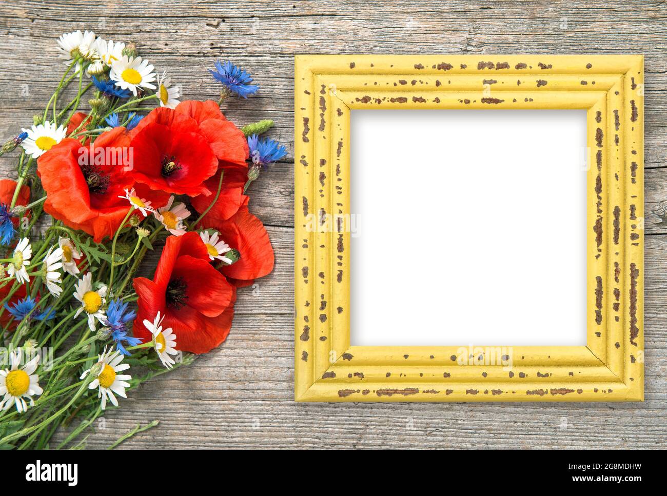 Poppy frame hi-res stock photography and images - Alamy