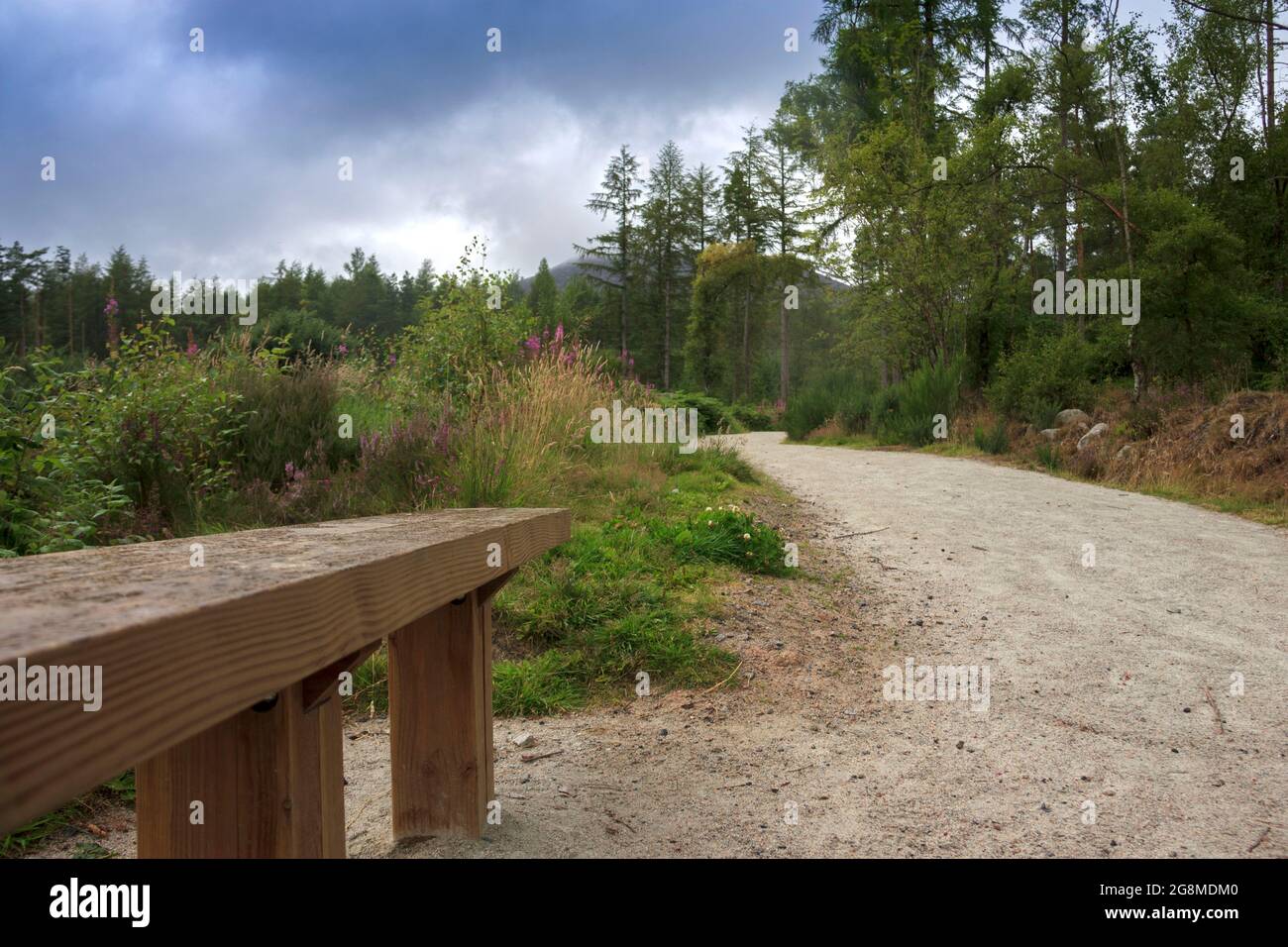 Walking woods path scotland highlands hi-res stock photography and ...
