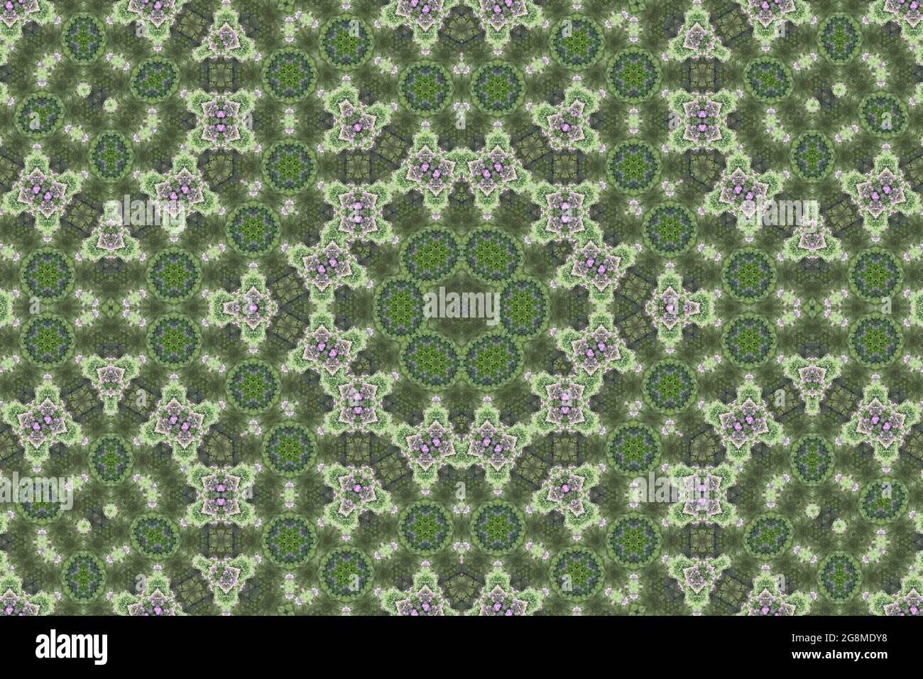 Gold baroque interior design patterns hi-res stock photography and ...