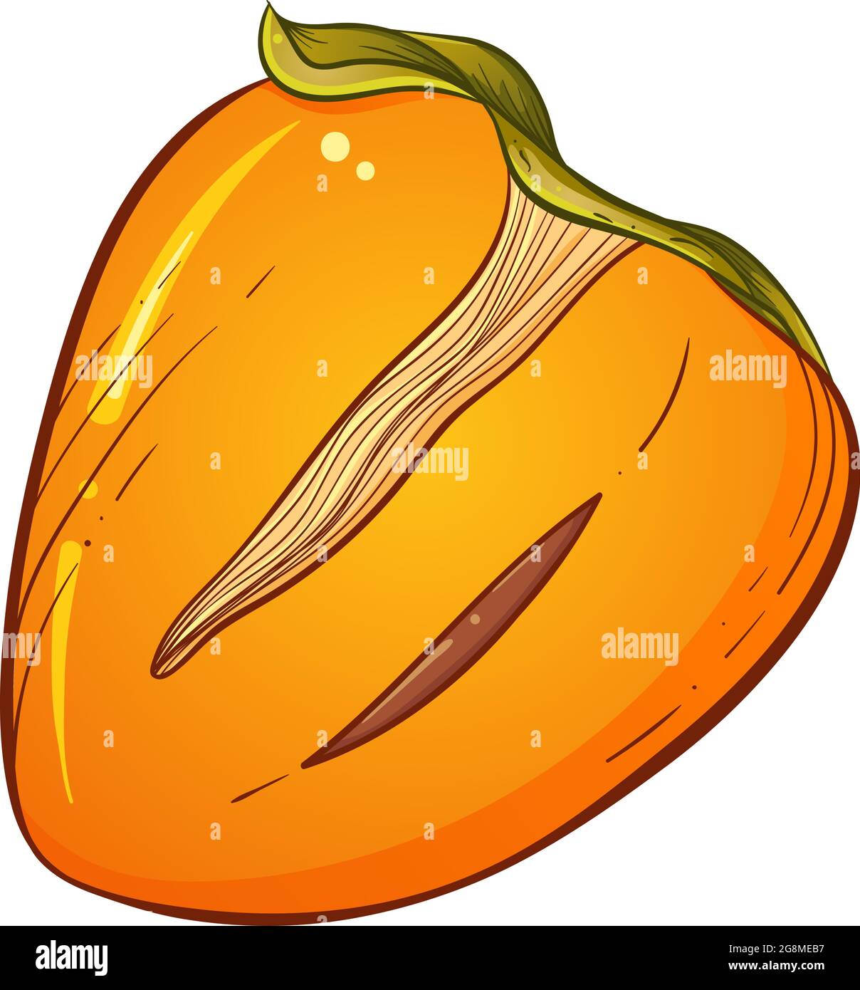 Persimmon fruit cartoon icon Stock Vector Images - Alamy
