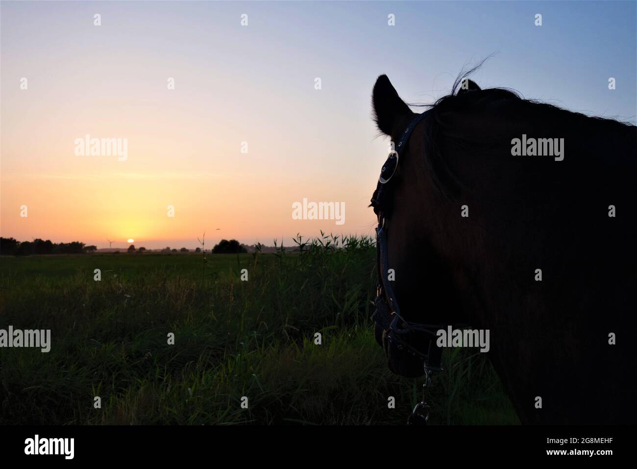 Sunset and horse hi-res stock photography and images - Alamy
