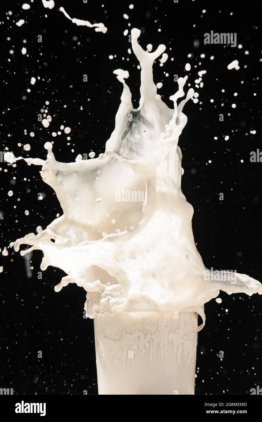 Splashing paint from a can. White paint splashing out of plastic can on ...