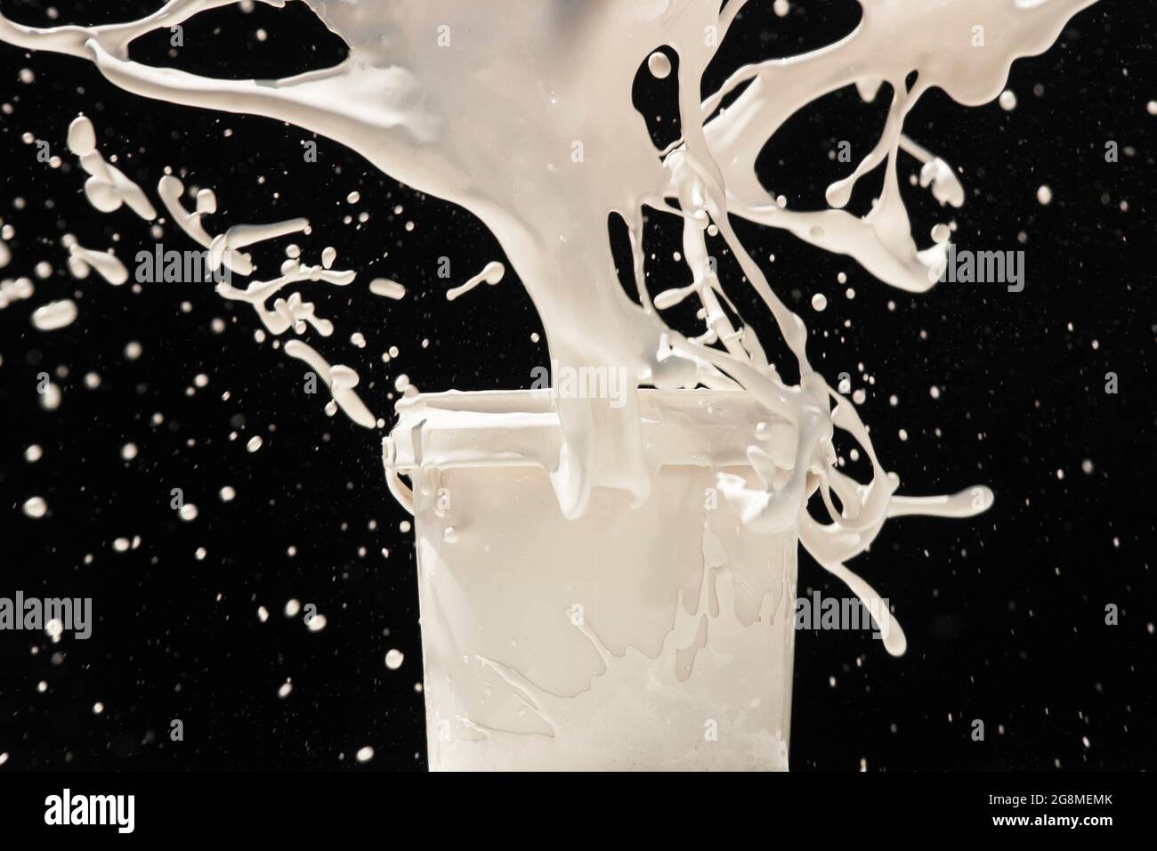Splashing paint from a can. White paint splashing out of plastic can on ...