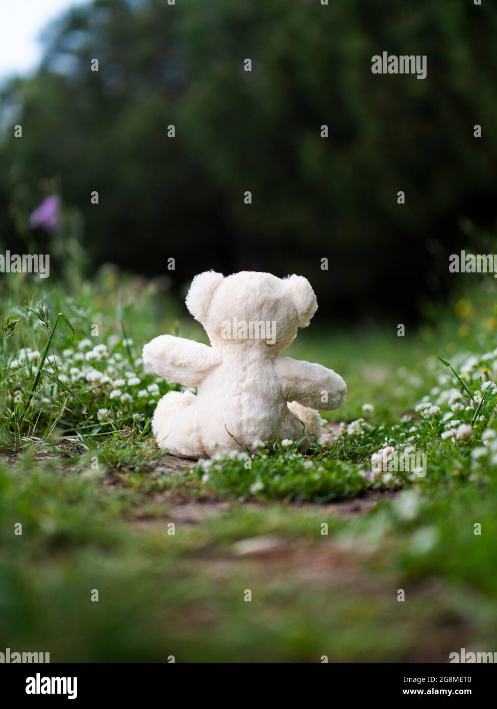 Book cover concept - Childhood - Rear view of teddy bear outdoors Stock ...