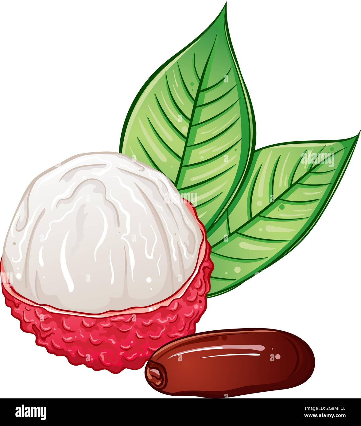 Fruit peeled Stock Vector Images - Alamy