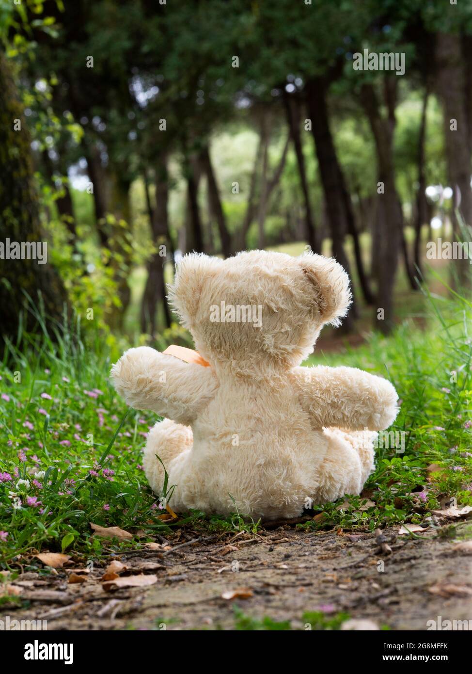 Book cover concept - Childhood - Rear view of teddy bear outdoors Stock ...