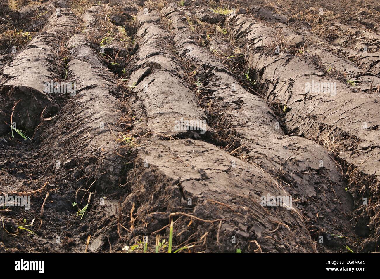 Deep plowing rows hi-res stock photography and images - Alamy
