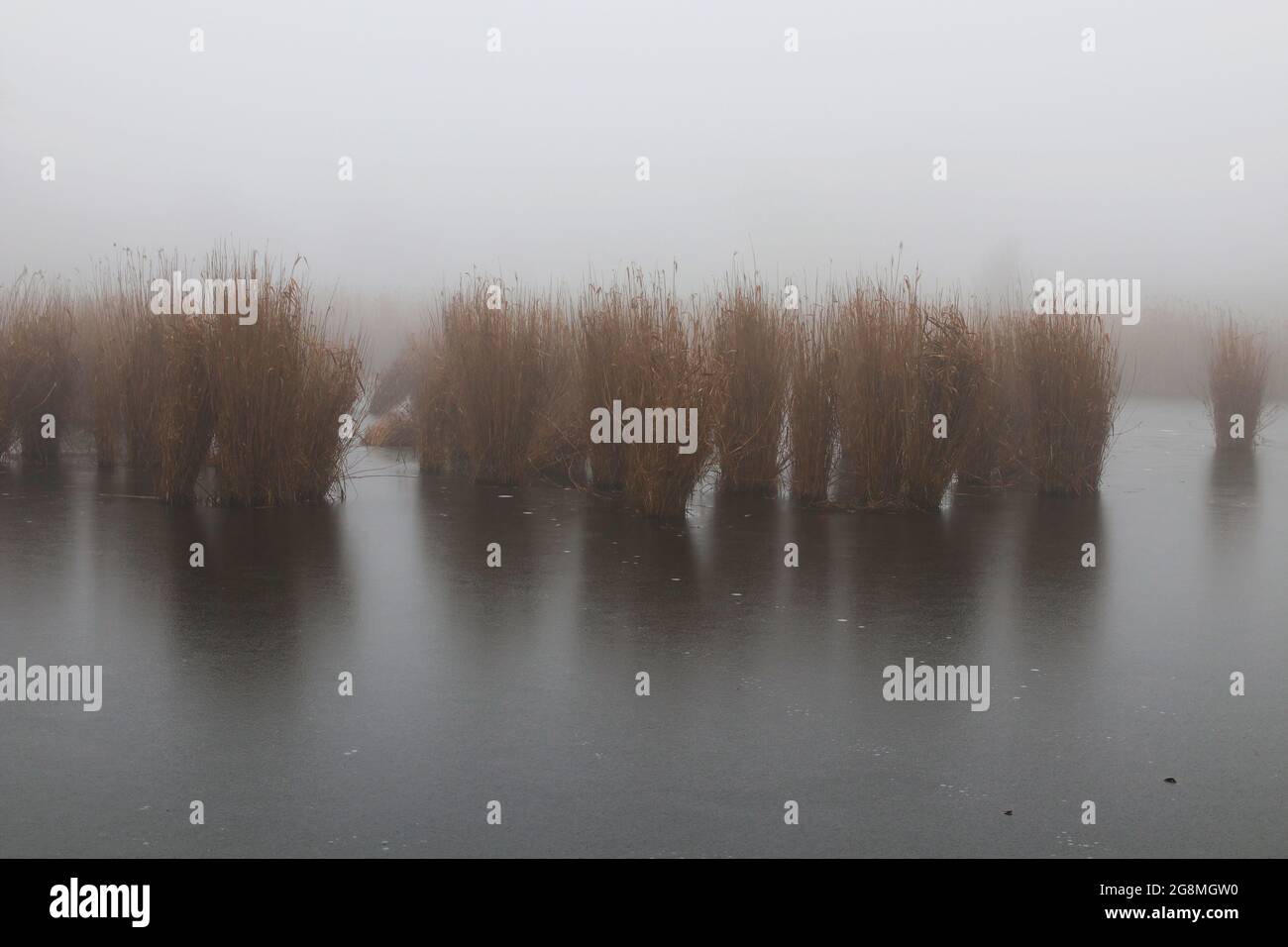Fog reflection hi-res stock photography and images - Alamy