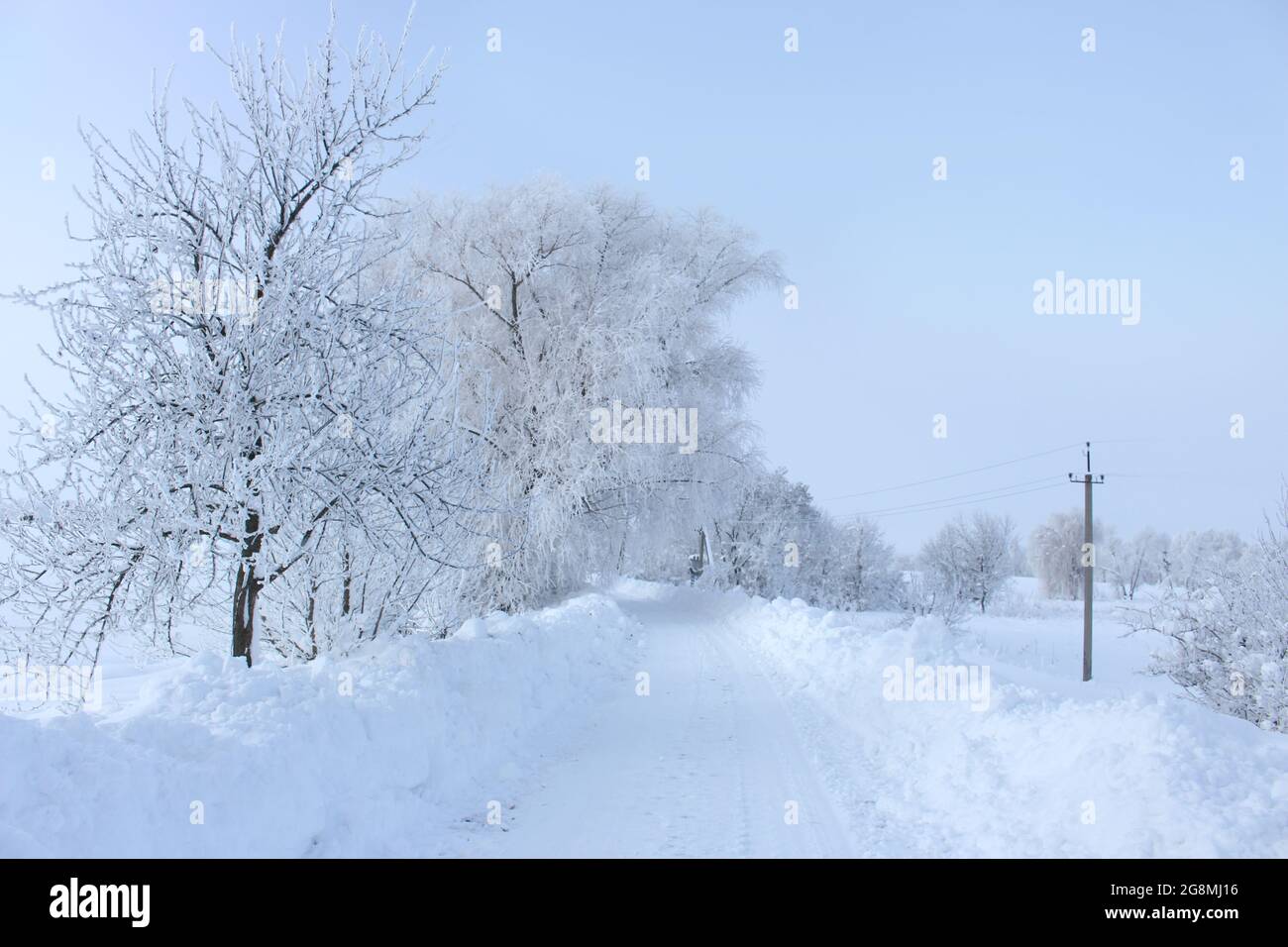 Snowy weather in forest snowdrift hi-res stock photography and images ...
