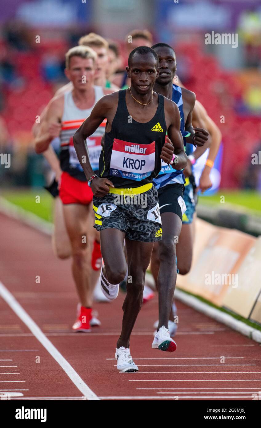 Krop High Resolution Stock Photography and Images - Alamy