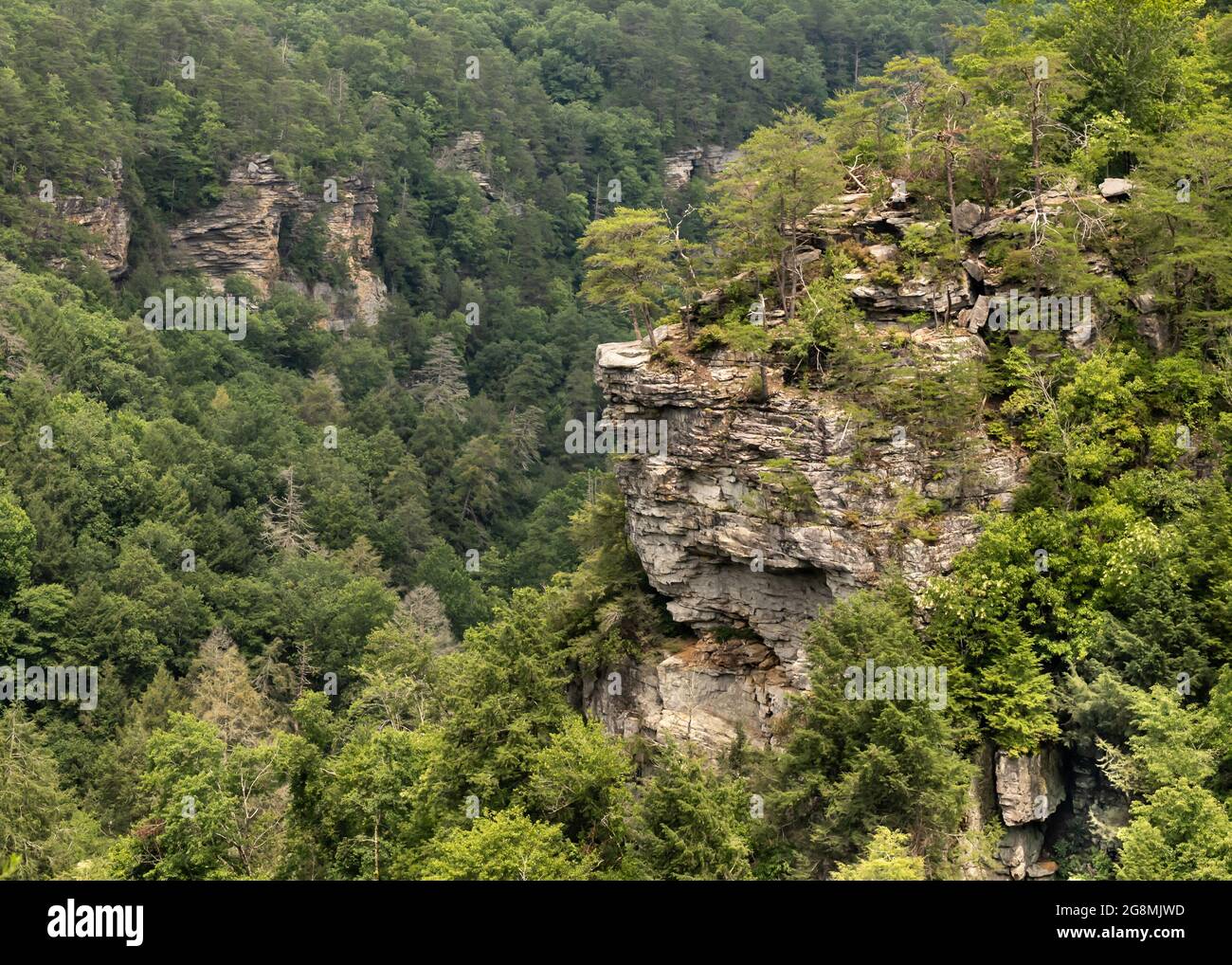 "Close to the Edge", on the Scenic Loop, in Fall Creek Falls State Park ...