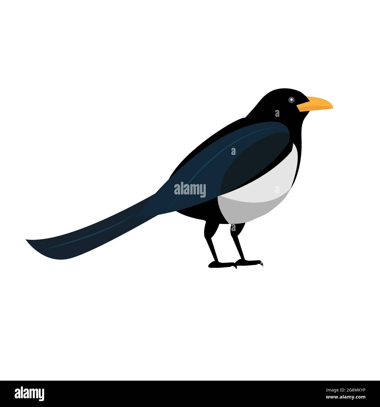 Magpie bird icon flat style. Isolated on white background. Vector ...