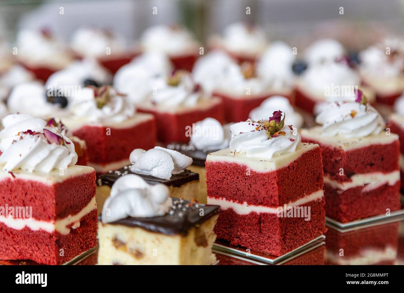 Velvet dessert of red color is arranged for presentation, dessert party ...