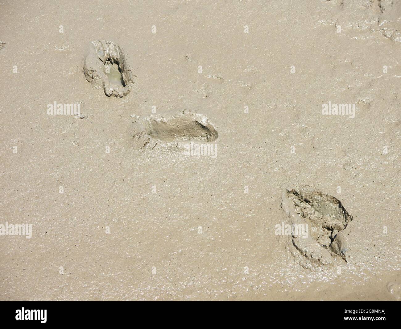 Beware of quicksand on some beaches - these deep footprints show that ...