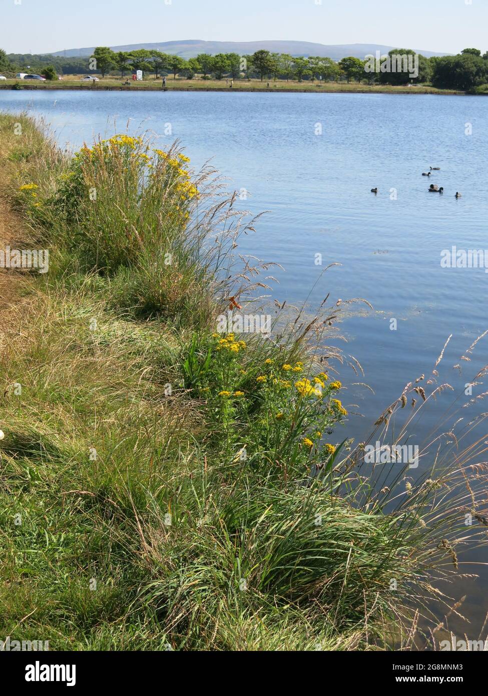 The beautiful scenery of Glasson Basin with the fells of Lancashire in ...