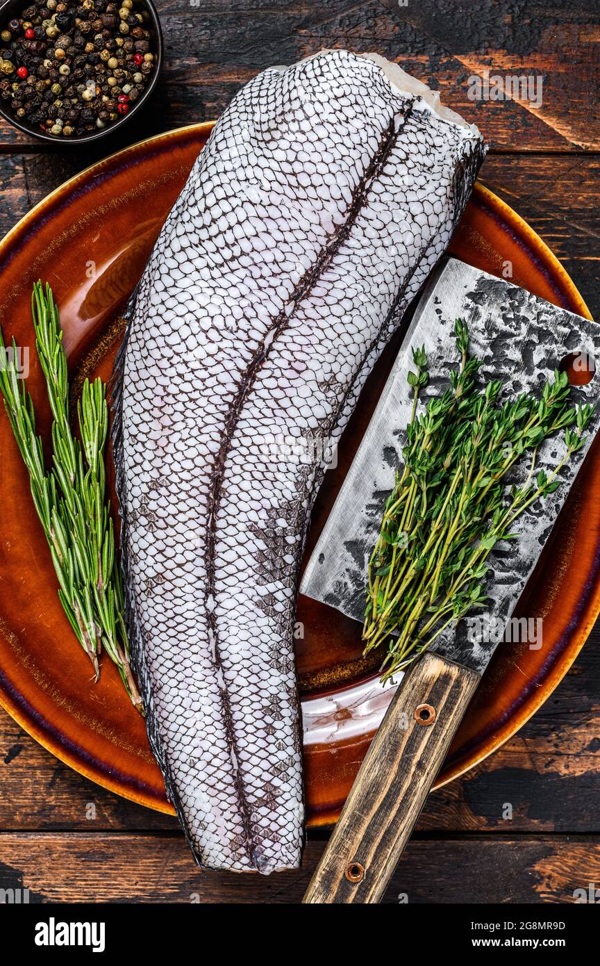 Grenadier Fish High Resolution Stock Photography and Images - Alamy