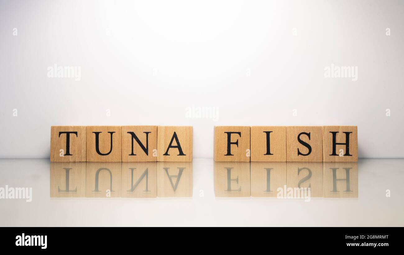 Tuna phrase created from wooden letter cubes. Seafood and food. close ...