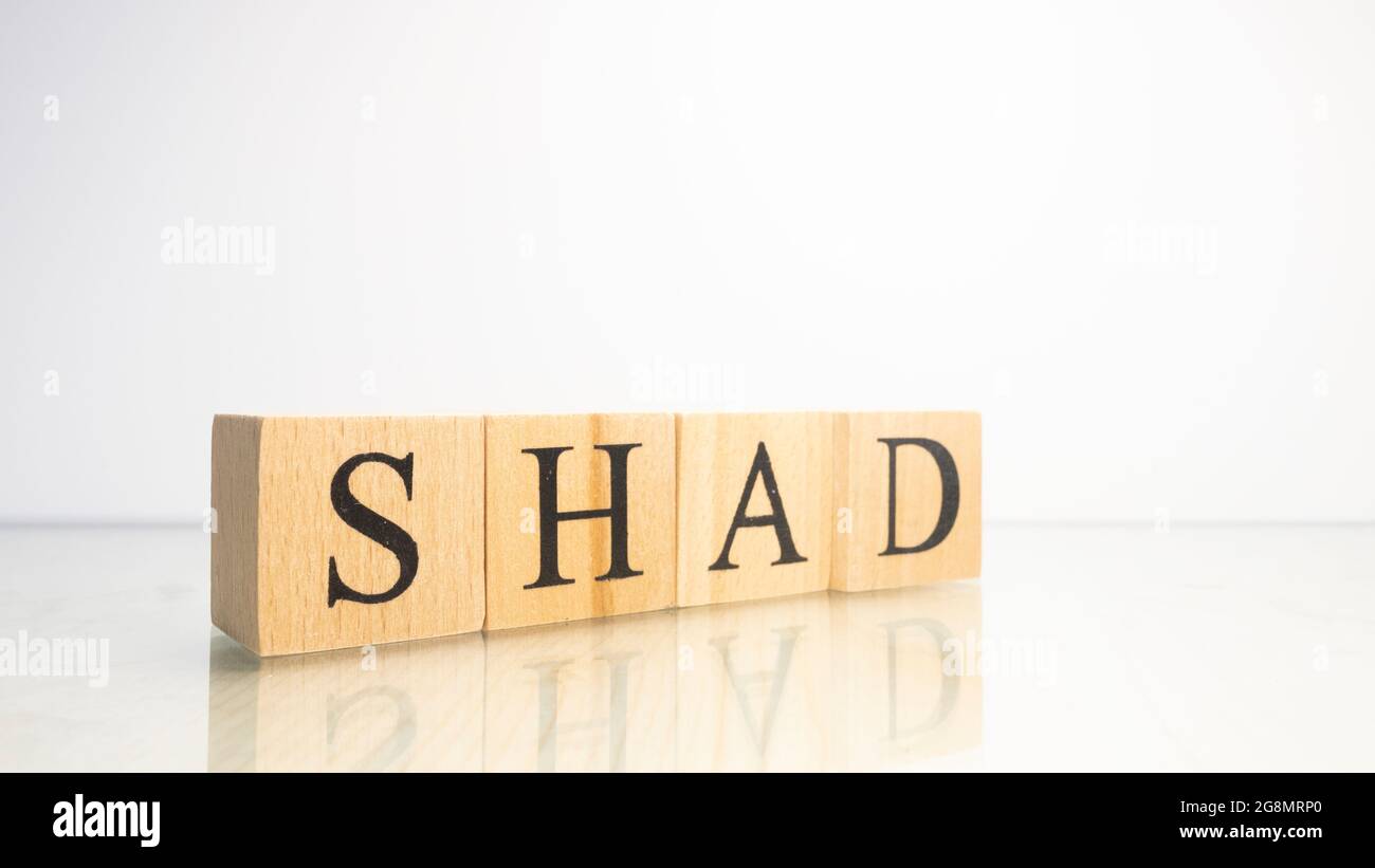 Bengali national dish hi-res stock photography and images - Alamy