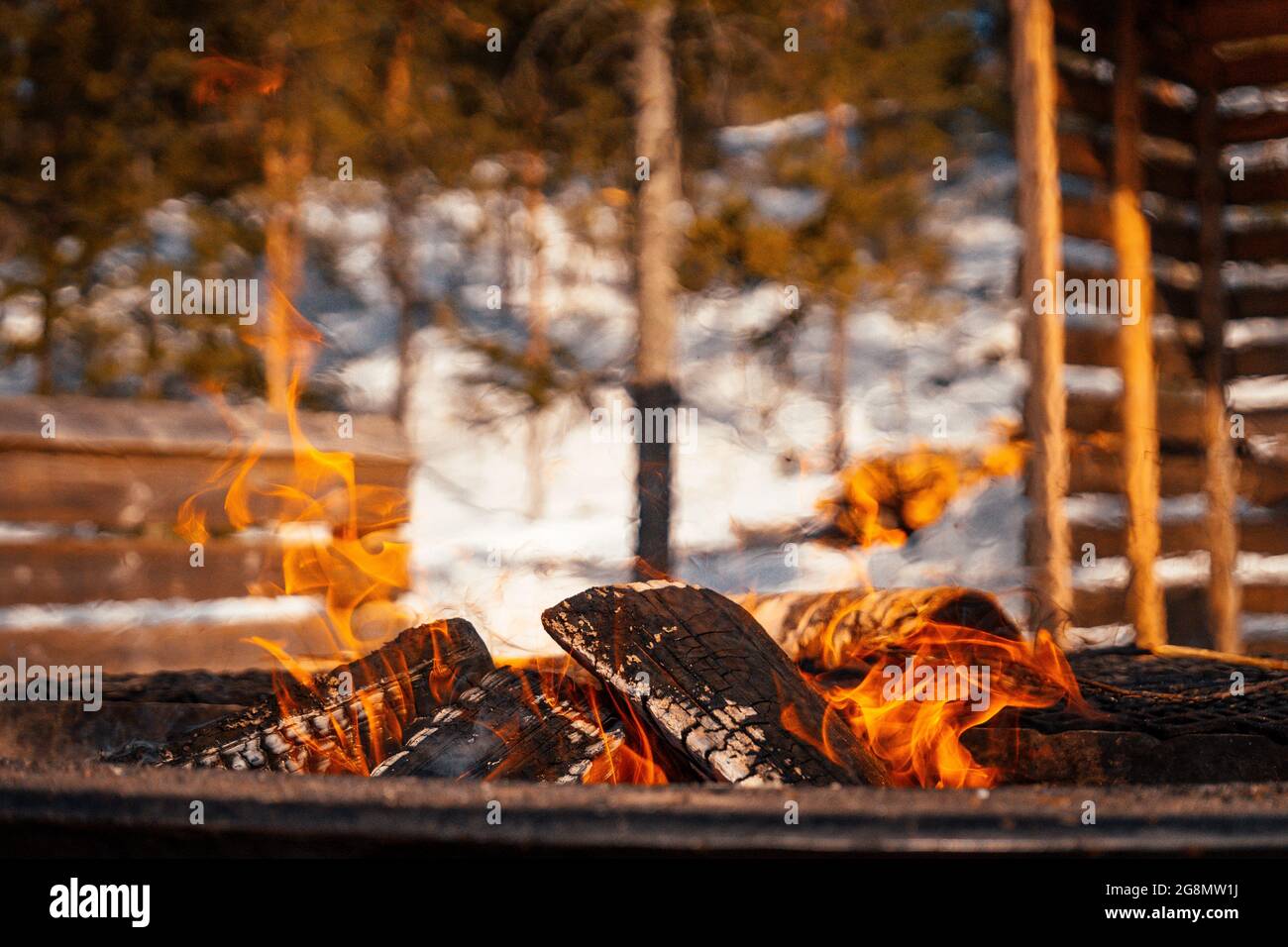 Bonfire in a winter forest during daytime Stock Photo - Alamy