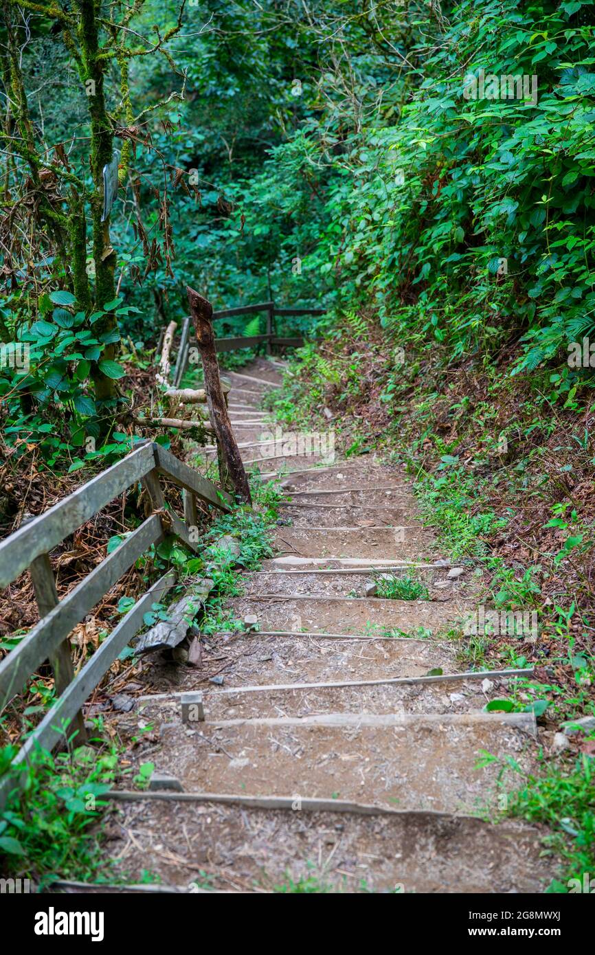 Black Sea Artvin Mencuna Trail Road, Turkey View Stock Photo - Alamy