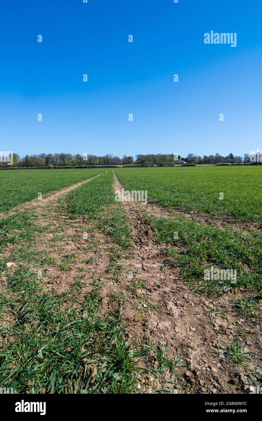 Farming and agricultrure hi-res stock photography and images - Alamy