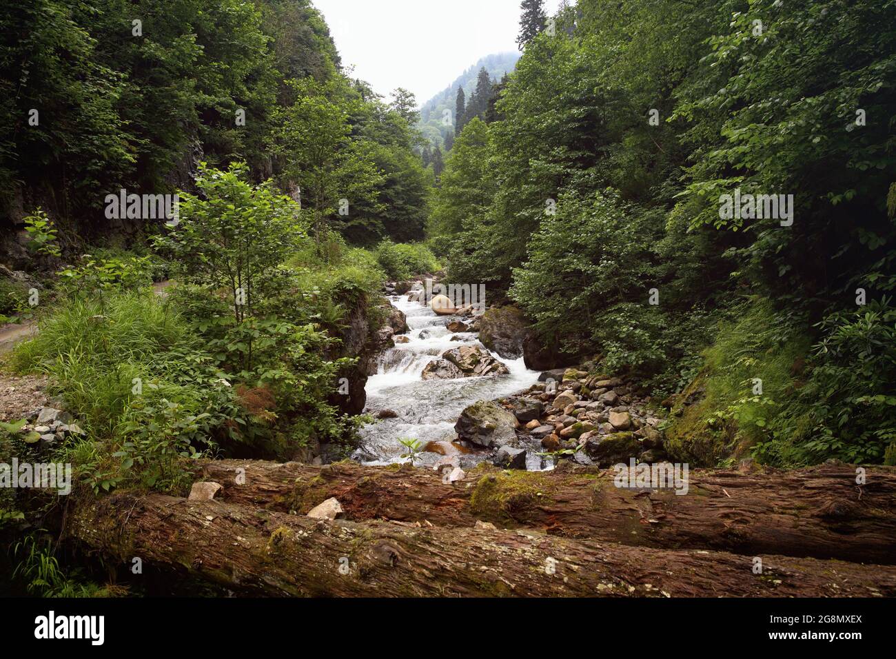 Black Sea Rize Cat Village Stream, Turkey, Plateau View Stock Photo - Alamy