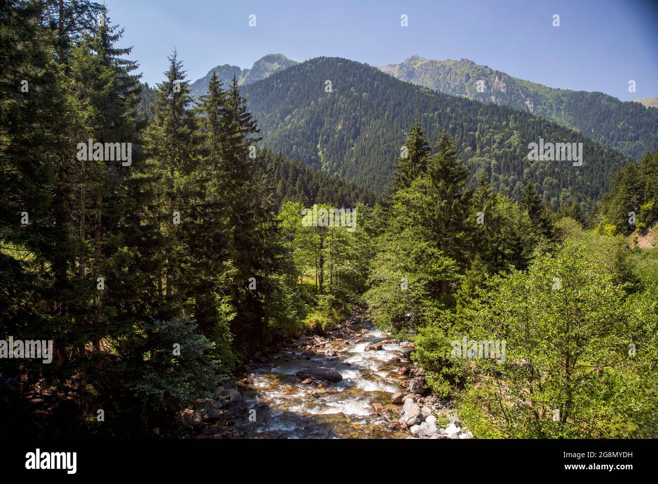 Firtina Stream, Rize, Black Sea, Turkey Stock Photo - Alamy