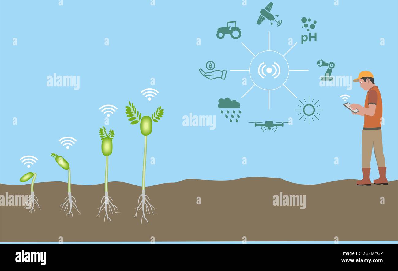 Digital illustration of a plants growth cycle and a farmer with ...
